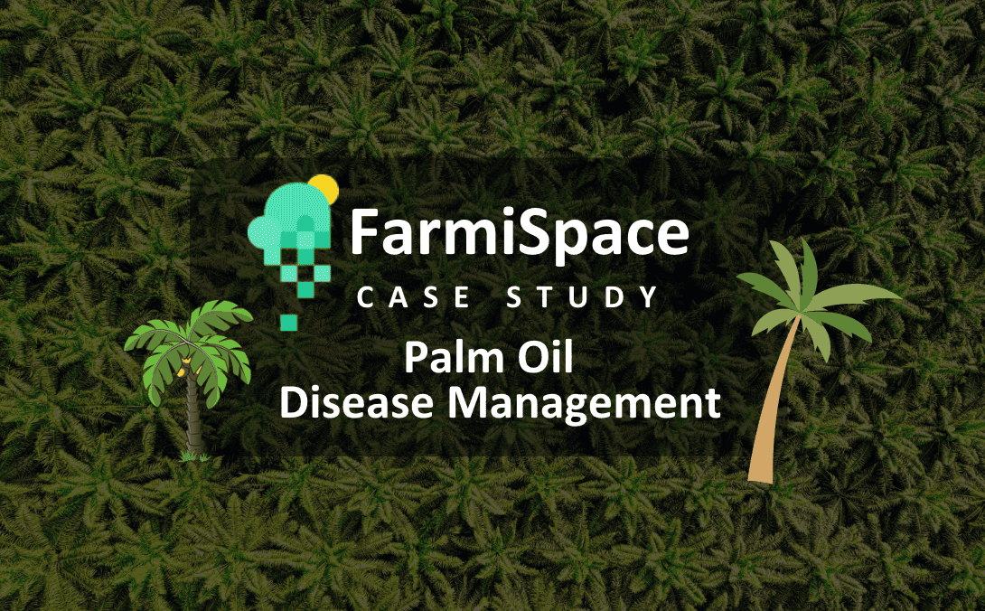 FarmiSpace | Why Palm Oil Yields Stay Stubbornly Low: The Hidden ...