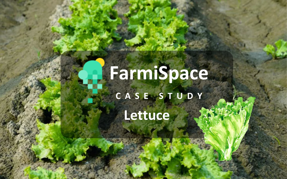 FarmiSpace | Using an AI Satellite Platform for Large-Scale Lettuce Production Management in Taiwan